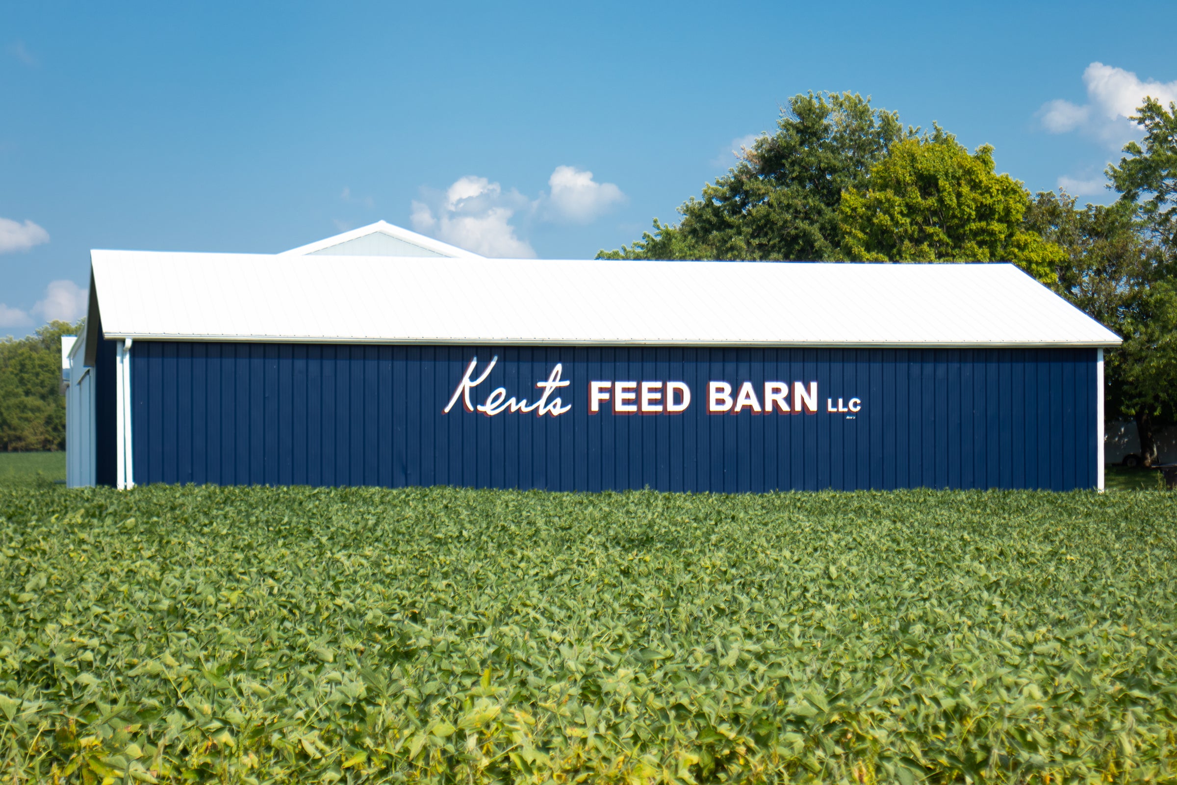 Kent's Feed Barn – Kent's Feed Barn